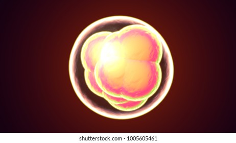 3d Render Human Body Cell Division Stock Illustration 1005605461