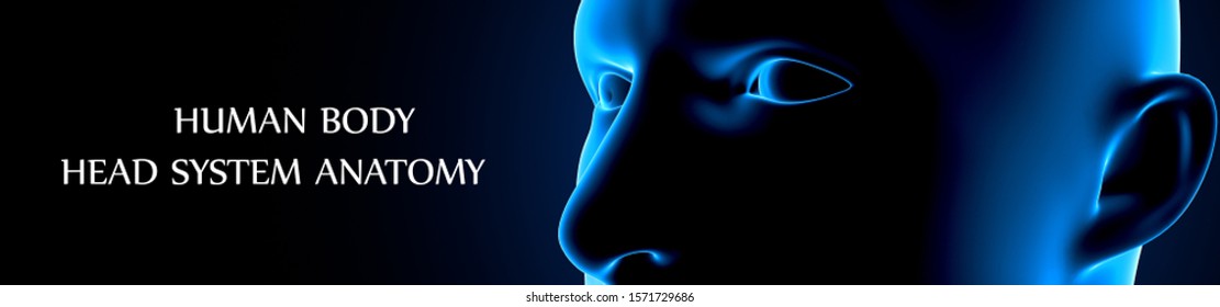 3d Render Human Body Head System Stock Illustration 1571729686 ...