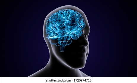 Human Brain Active Receptor Stock Illustration 312413090 | Shutterstock