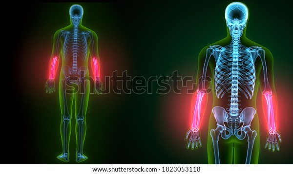 3 quinquies de la lna del: ilustración de stock 1823053118 | Shutterstock