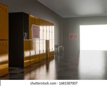 Collections by Dawid G | Shutterstock