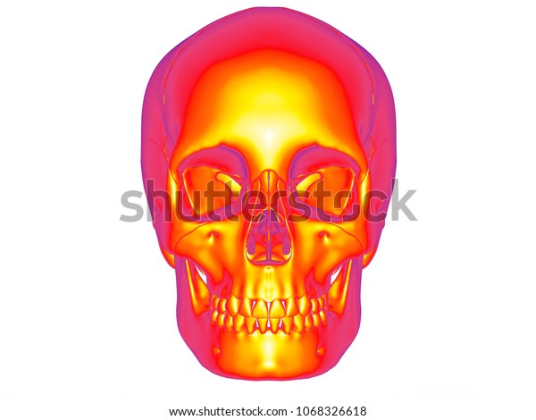 3d Render Infrared Skull Front View Stock Illustration 1068326618 ...