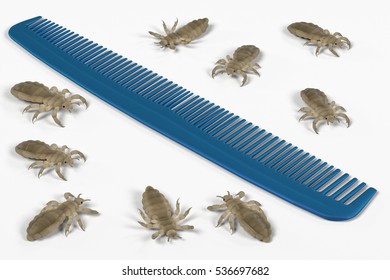 175 imágenes de Pediculus capitis - Imágenes, fotos y vectores de stock ...
