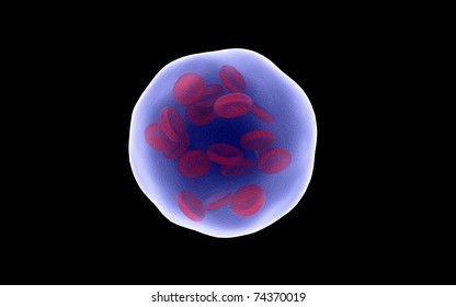 3d Render Morula Cell On Dark Stock Illustration 74370019 | Shutterstock