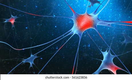 3d Render Nerve Cells On Blue Stock Illustration 561623836 | Shutterstock