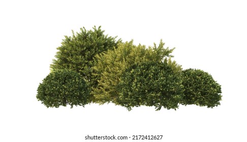 3d Render Shrub White Background Stock Illustration 2172412627 ...