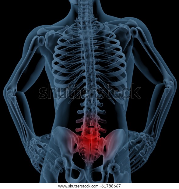 3d Render Skeleton Highlighting Pain Back Stock Illustration 61788667