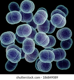 3d Render Staphylococcus Under Microscope: ภาพประกอบสต็อก 186849089 ...