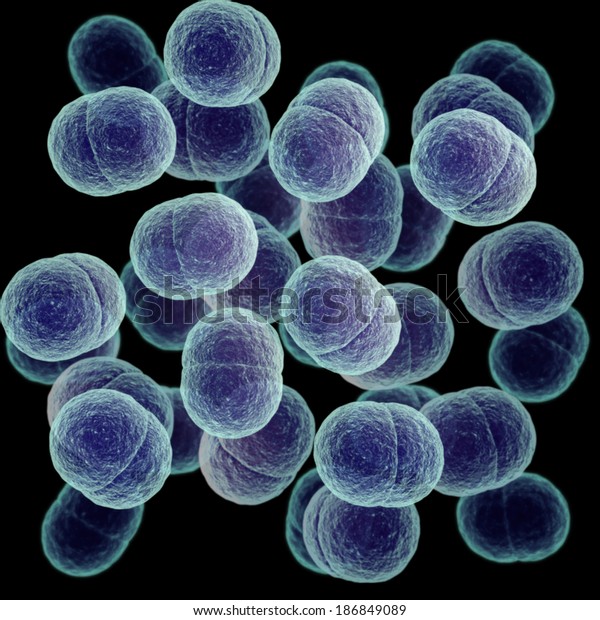 3d Render Staphylococcus Under Microscope Stock Illustration 186849089