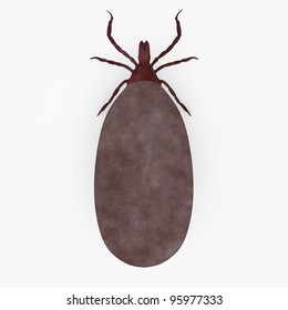 3d Render Tick Animal Stock Illustration 95977333