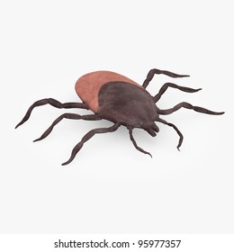3d Render Tick Animal Stock Illustration 95977357 | Shutterstock
