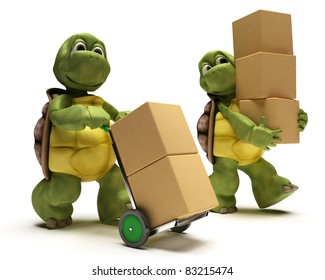 449 Turtle delivery Images, Stock Photos & Vectors | Shutterstock