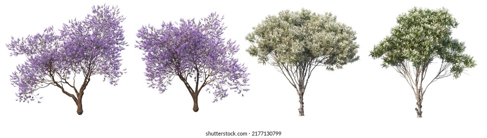 3d Render Tree Flowers On White Stock Illustration 2177130799 ...