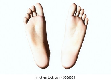3d Render Womans Feet Stock Illustration 3586853 | Shutterstock