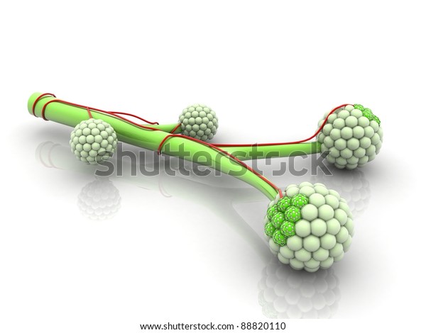 3d Rendered Alveoli White Background Stock Illustration 88820110 ...