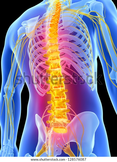 3d Rendered Illustration Backache Stock Illustration 128576087 ...