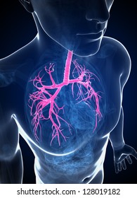 27,073 3d human body transparent Images, Stock Photos & Vectors ...