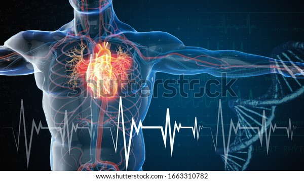 3d rendered illustration of heart attack and heart disease 3D illustration