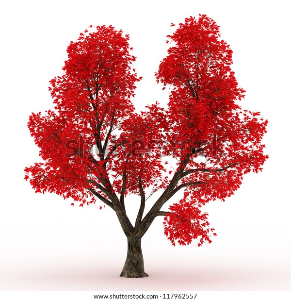 3d Rendered Maple Tree Autumn Red Stock Illustration 117962557 ...