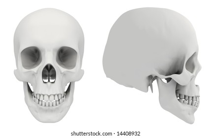33,764 Skull 3d render Images, Stock Photos & Vectors | Shutterstock