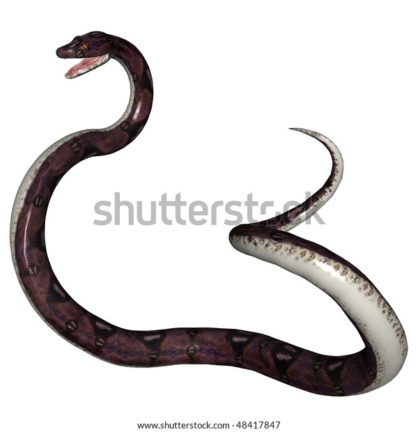 3d Rendered Snake On White Background Stock Illustration 48417847 ...