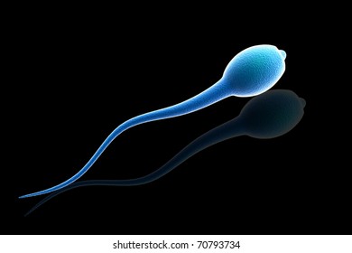 3d Rendered Sperm Cell Stock Illustration 70793734 | Shutterstock