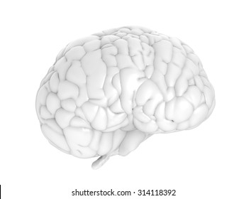 87,072 Human brain white background Images, Stock Photos & Vectors ...