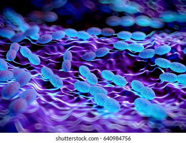 3d Rendering Acetobacter Bacteria Stock Illustration 640984756 ...