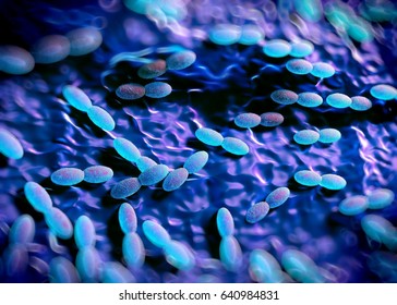 3d Rendering Acetobacter Bacteria Stock Illustration 640984831