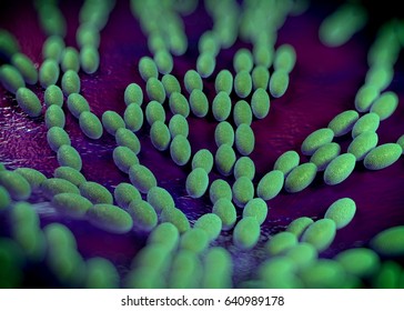 3d Rendering Acetobacter Bacteria Stock Illustration 640989178 ...