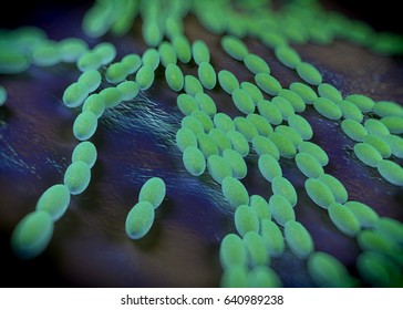 3d Rendering Acetobacter Bacteria Stock Illustration 640989238 ...
