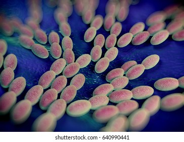 3d Rendering Acetobacter Bacteria Stock Illustration 640990441 ...