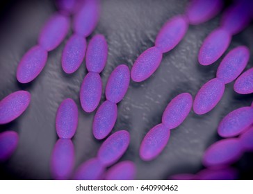 3d Rendering Acetobacter Bacteria Stock Illustration 640990462 ...