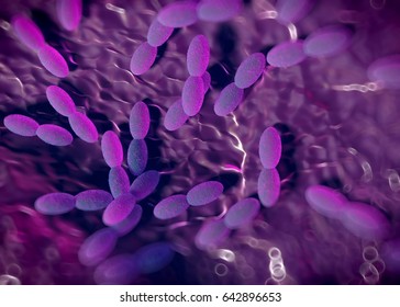 278 Acetobacter aceti Images, Stock Photos & Vectors | Shutterstock