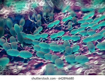 278 Acetobacter aceti Images, Stock Photos & Vectors | Shutterstock