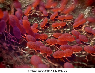 278 Acetobacter aceti Images, Stock Photos & Vectors | Shutterstock