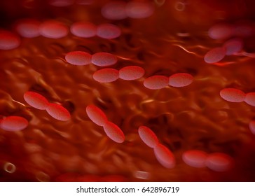278 Acetobacter aceti Images, Stock Photos & Vectors | Shutterstock