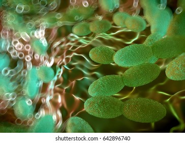 278 Acetobacter aceti Images, Stock Photos & Vectors | Shutterstock