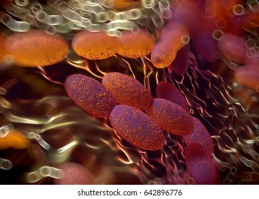 278 Acetobacter aceti Images, Stock Photos & Vectors | Shutterstock