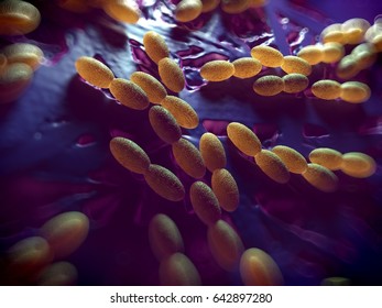 3d Rendering Acetobacter Bacteria Stock Illustration 642897280 ...