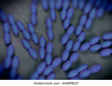3d Rendering Acetobacter Bacteria Stock Illustration 642898027