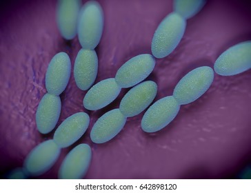 3d Rendering Acetobacter Bacteria Stock Illustration 642898120
