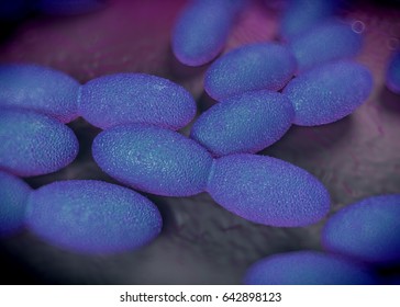 3d Rendering Acetobacter Bacteria Stock Illustration 642898123 ...