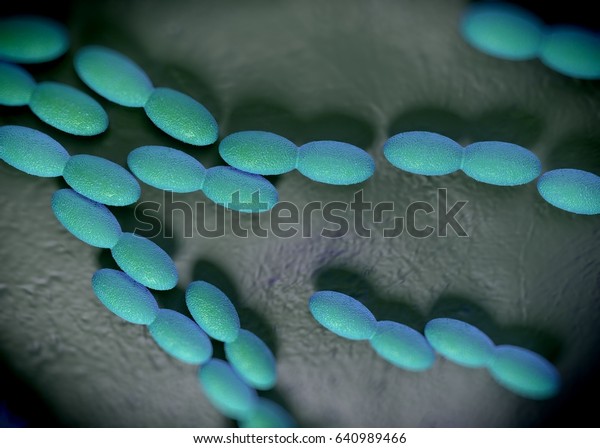 3d Rendering Acetobacter Bacteria Stock Illustration 640989466 ...