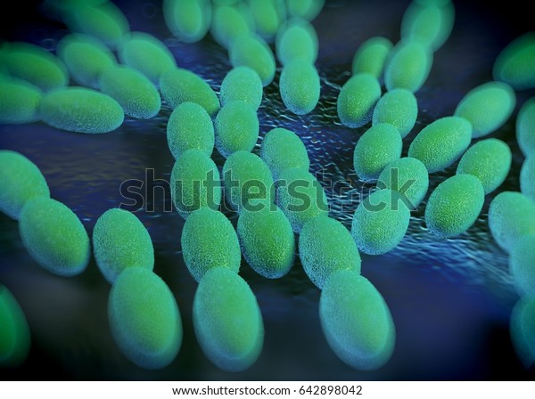 3d Rendering Acetobacter Bacteria Stock Illustration 642898042