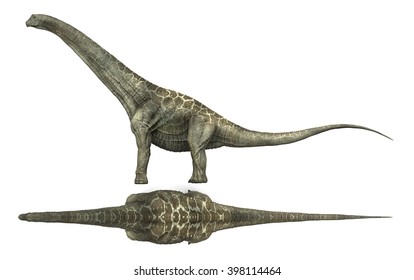 Hypselosaurus Images, Stock Photos & Vectors | Shutterstock