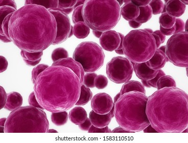 110 Fish White Blood Cell Images, Stock Photos & Vectors | Shutterstock