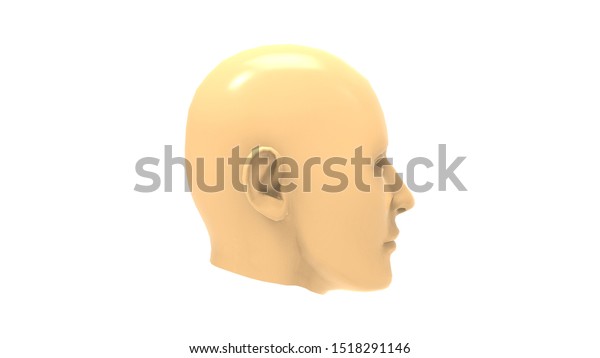 3d Rendering Bald Human Head Face Stock Illustration 1518291146 ...