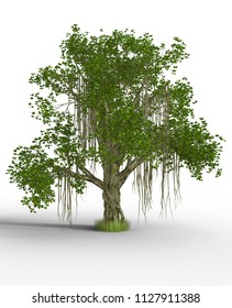 3d Rendering Banyan Tree Isolated On 스톡 일러스트 1127911388 | Shutterstock