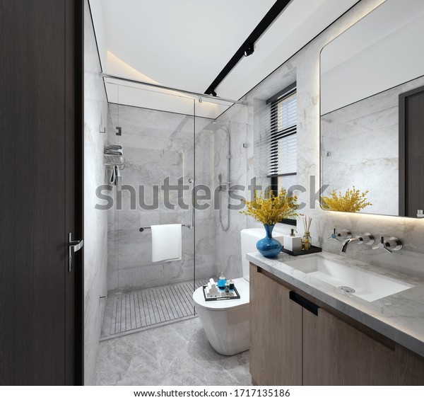 3d Rendering Bathroom Interior Stock Illustration 1717135186 | Shutterstock